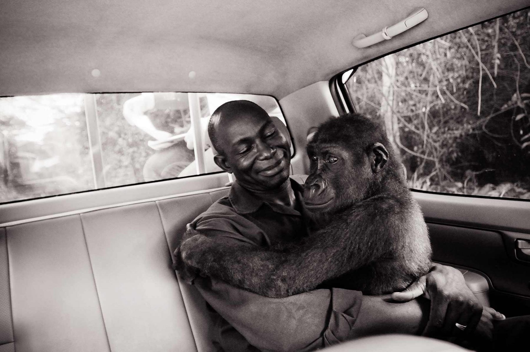 We Animals | Jo-Anne McArthur Photography