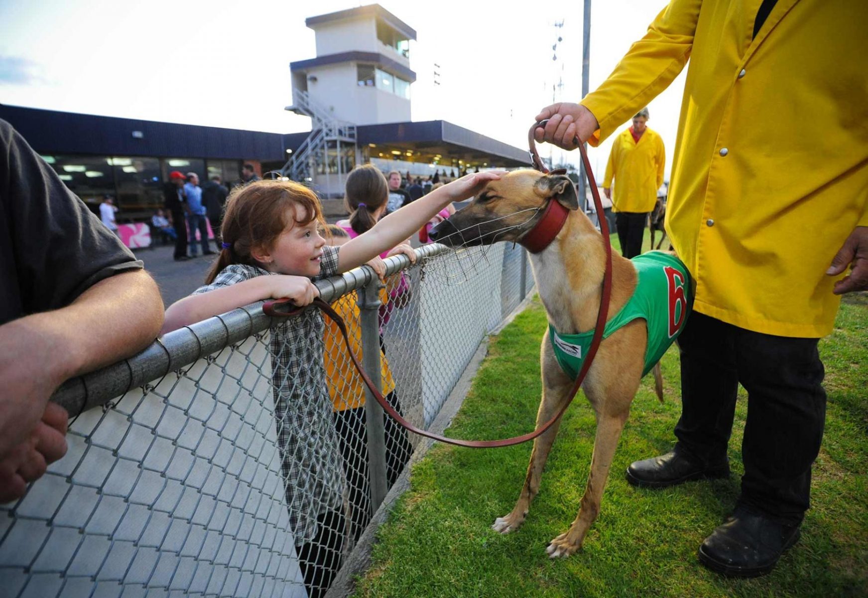 We Animals | Jo-Anne McArthur Photography